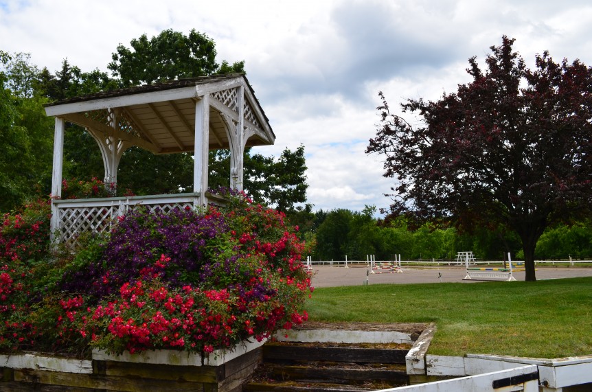 Boarding - BarGee Farms